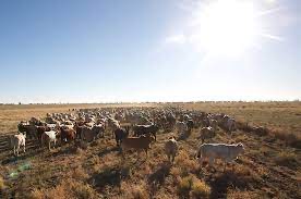 Australian Agriculture