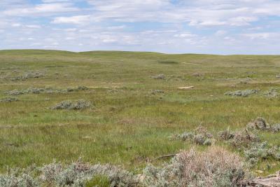 Prairie Regions of Canada
