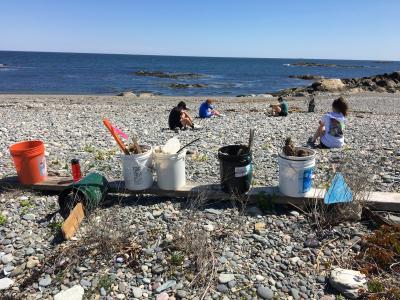 Marine Debris Story Map