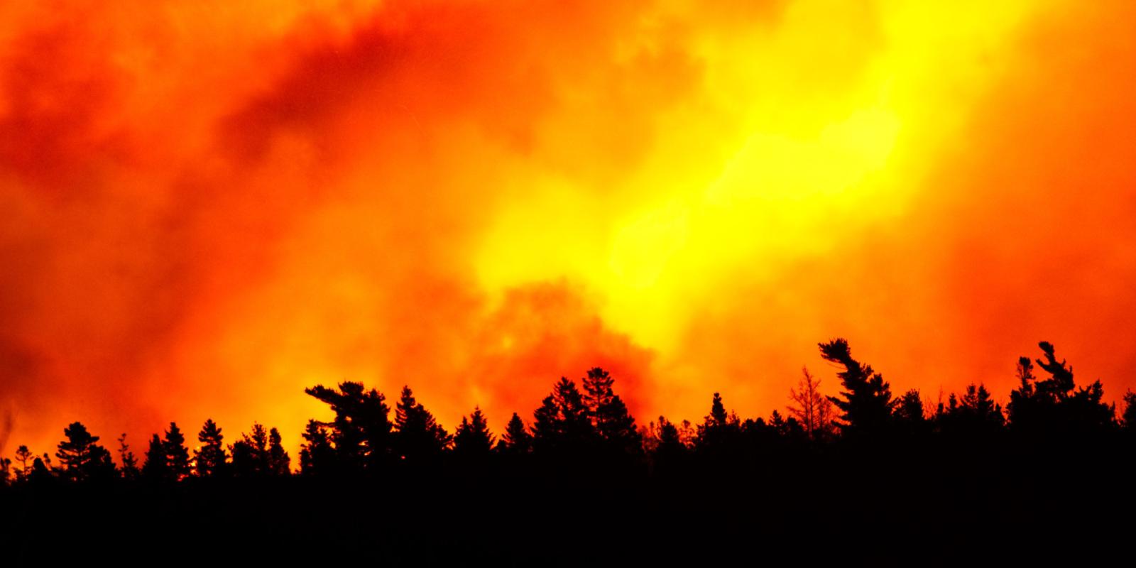 Environmental Impacts of Canadian Wildfires