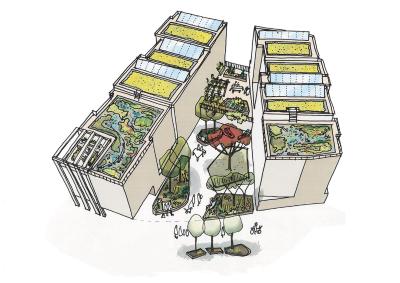 Designing CC's New Science Center: the "Living Building"