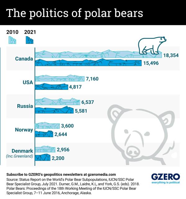 Melting Of Arctic Ice And Its Impact On Polar Bears