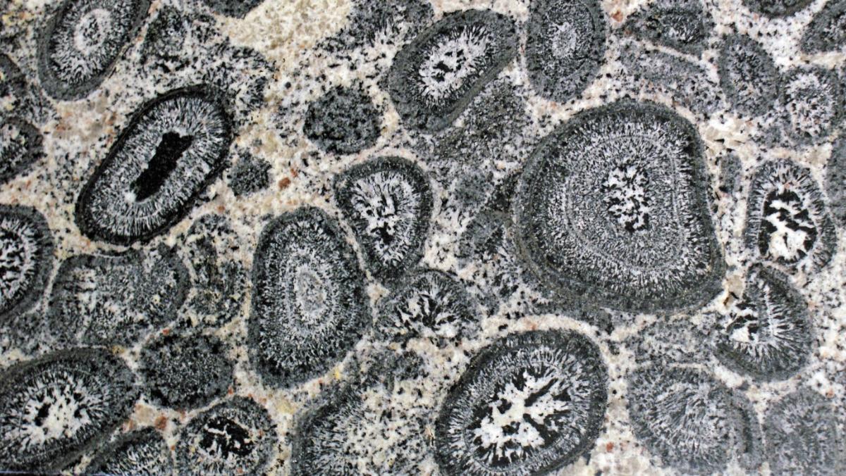 Boogardie Orbicular Granite — the oldest in the world