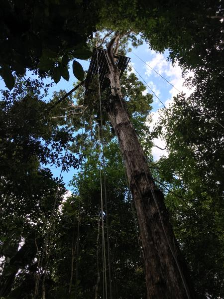 Indicadores - MOSCAL