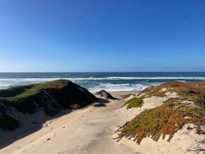 Dunes - Coming soon to a beach near you!